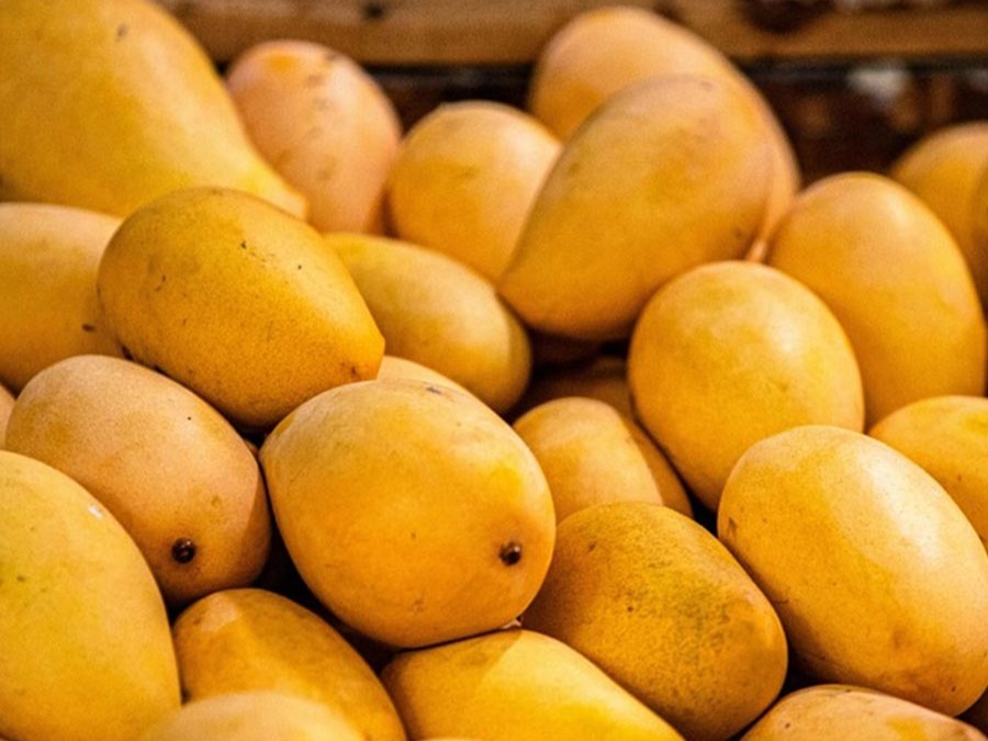 How to Identify Real or Fake Hapus?